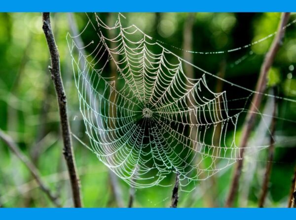 LOS 10 MATERIALES MÁS FUERTES Y DUROS DEL MUNDO - Comercial Godó